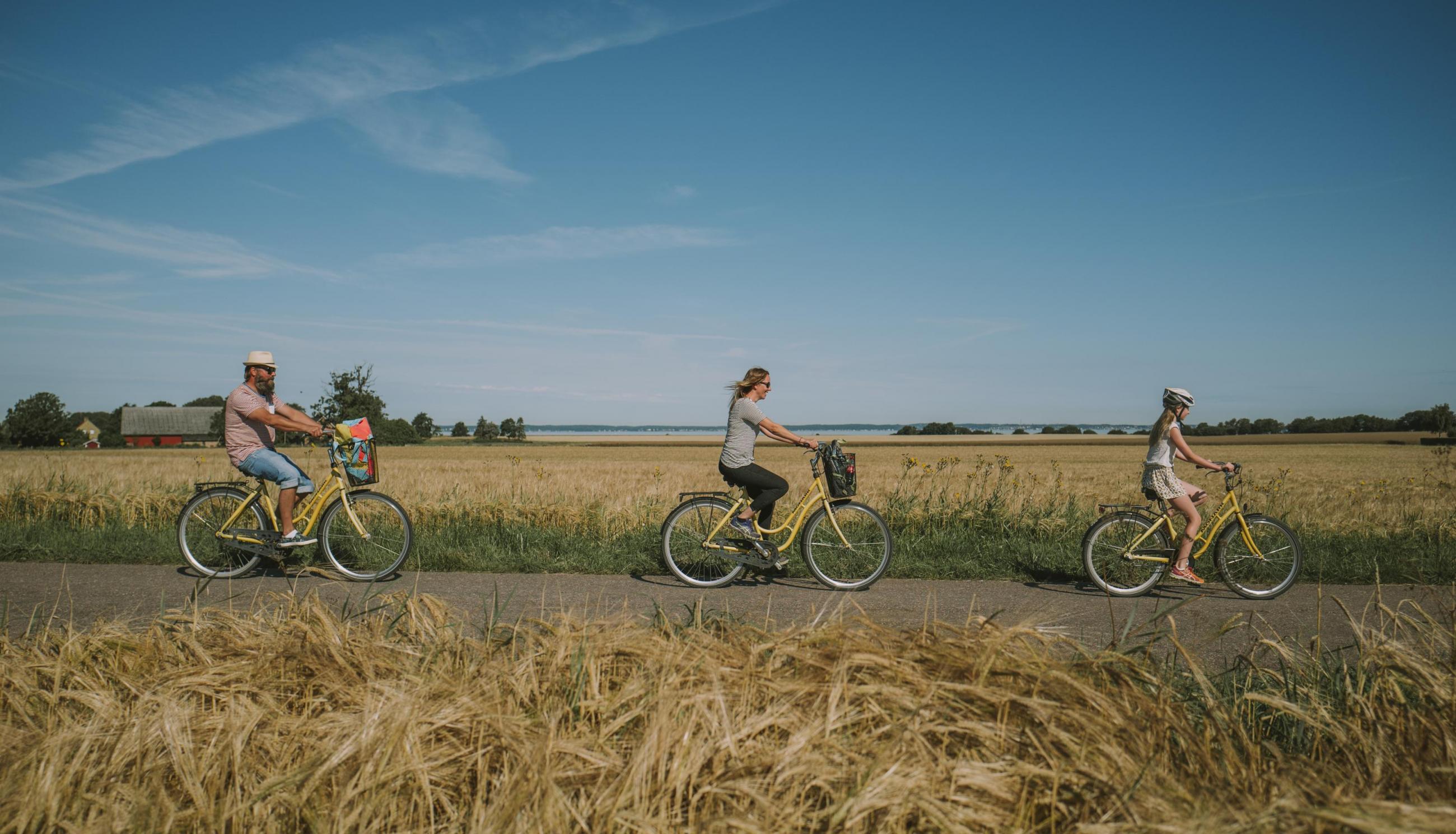 Visit the Island of Ven | Visit Skåne
