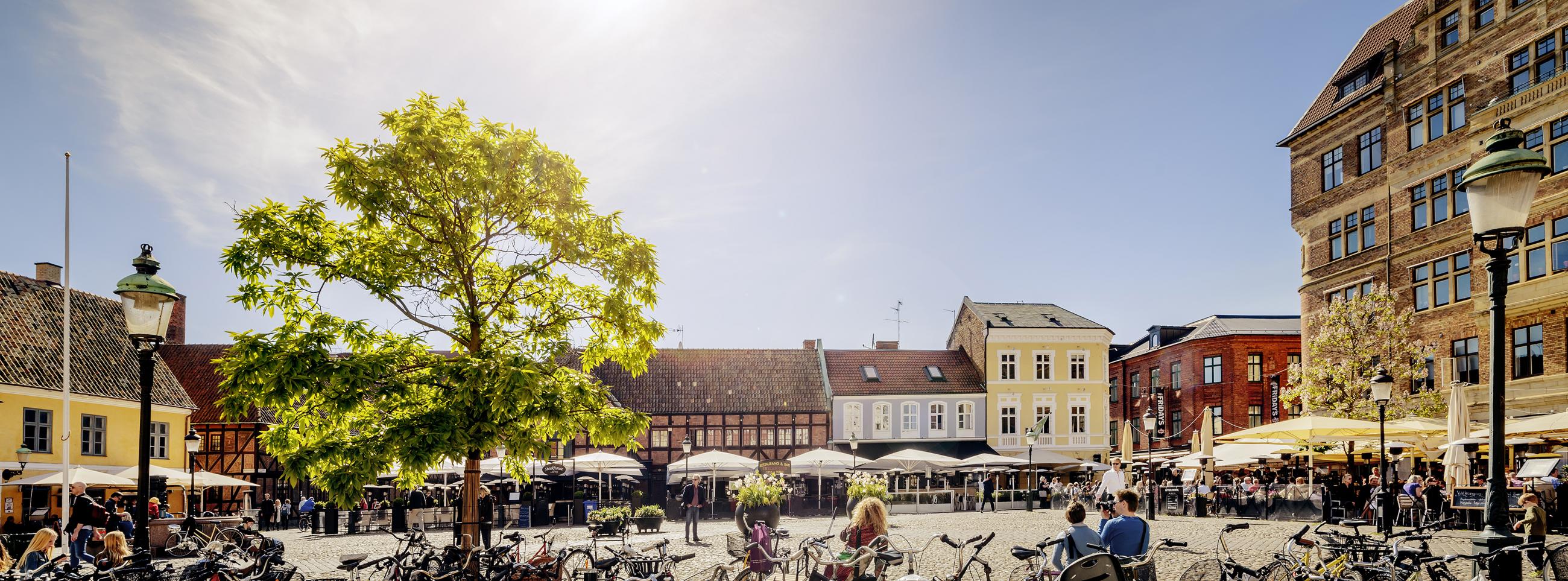 Your official guide to Skåne | Visit Skåne